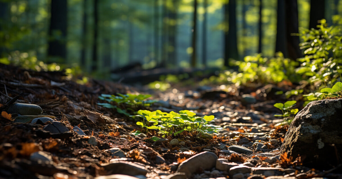 Watch Your Step: Identifying Hazardous Plants in the Pacific Northwest ...